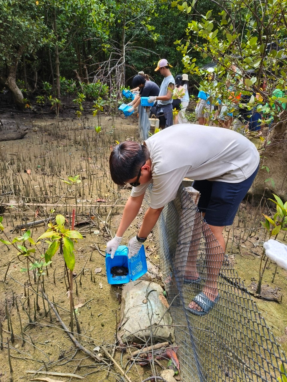 CSR activity: Tree planting, releasing crabs, cleaning up the forest ...