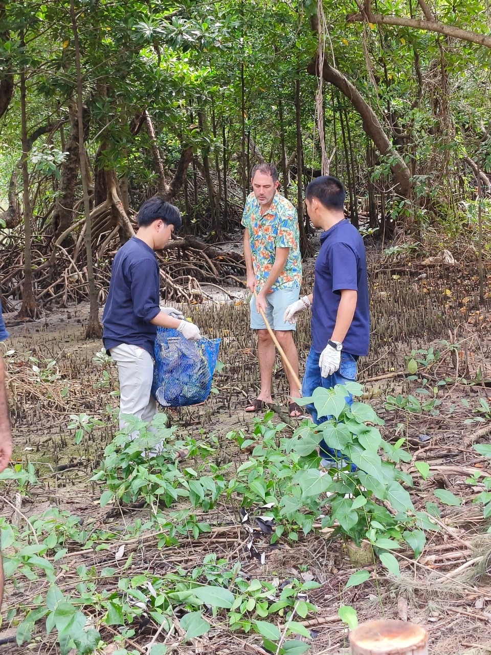CSR activity: Tree planting, releasing crabs, cleaning up the forest ...