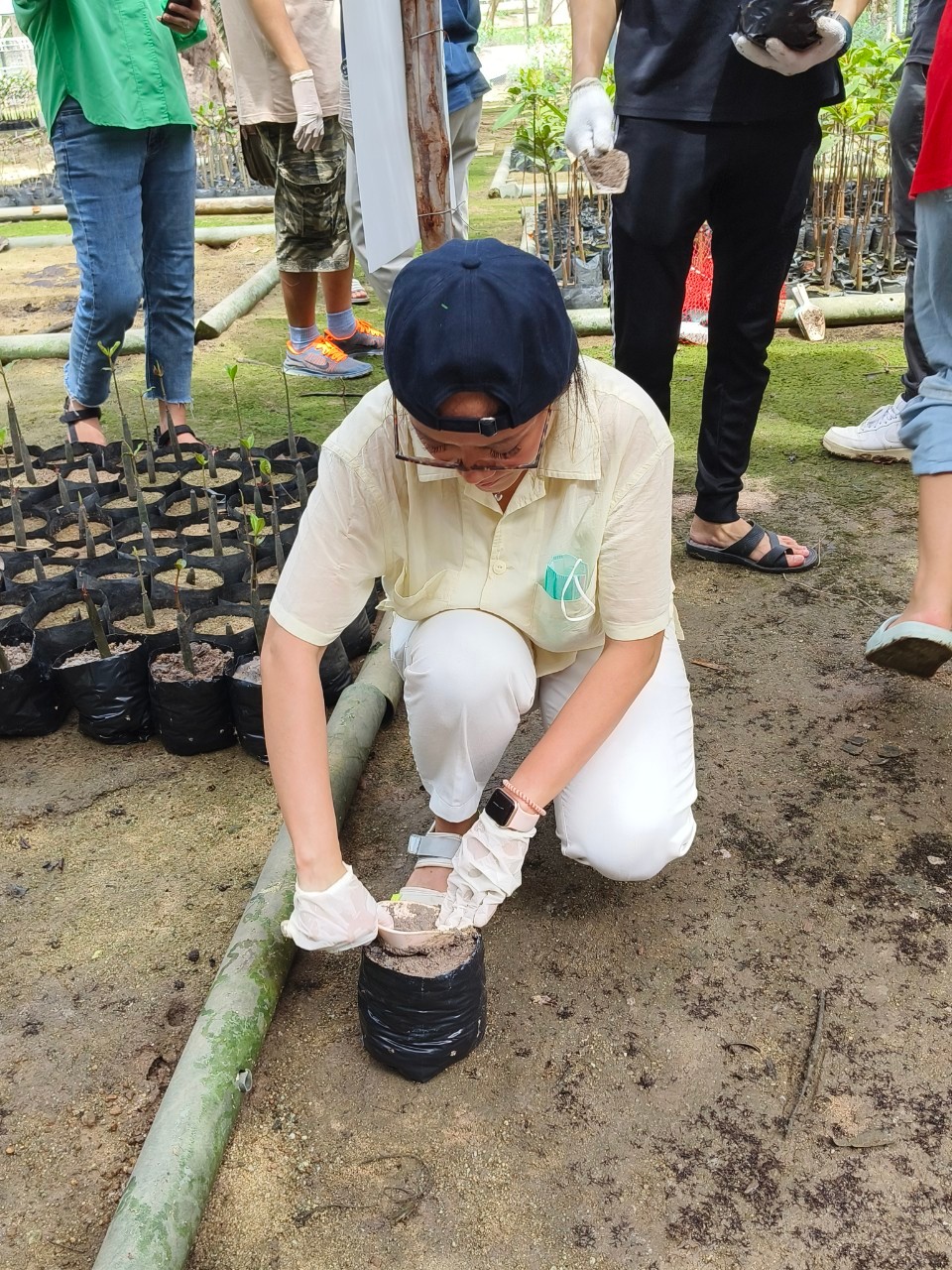 CSR activity: Tree planting, releasing crabs, cleaning up the forest ...